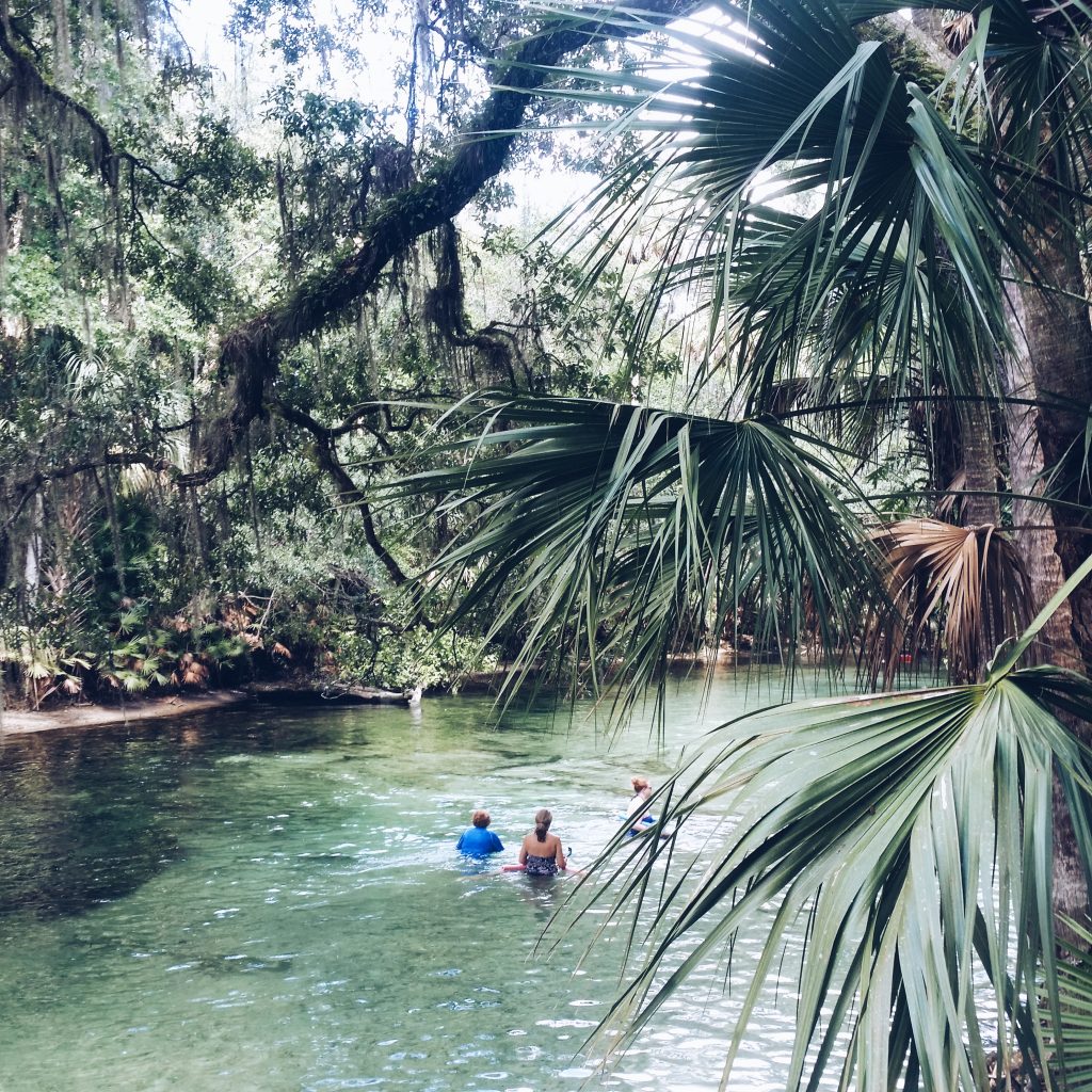 7 Important Things to Know About Visiting Blue Spring State Park